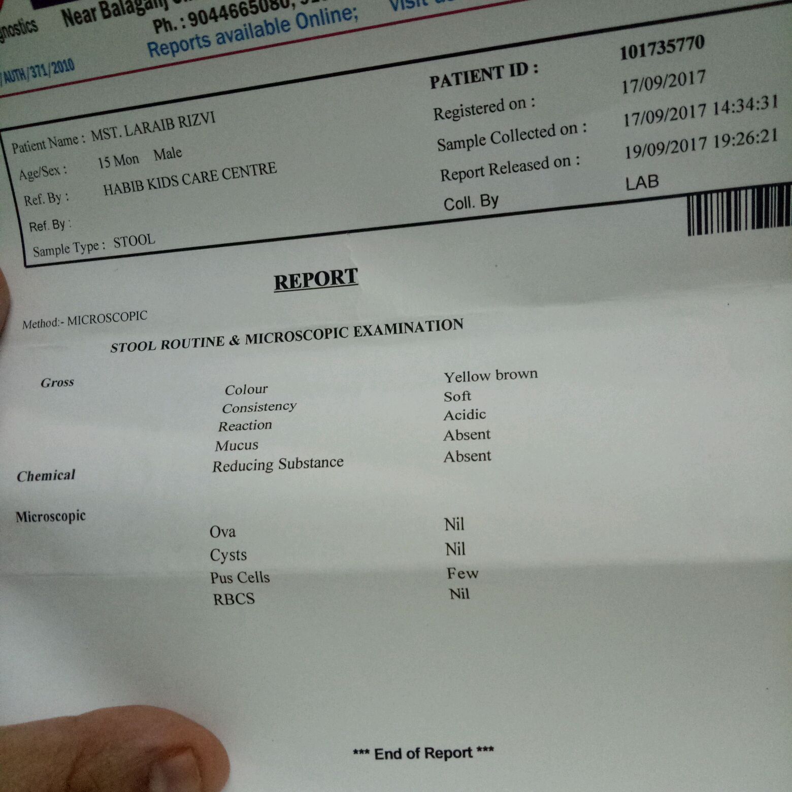 Normal Urine Culture Test Report